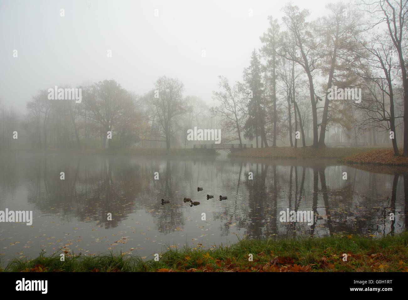 Misty autumn morning Stock Photo - Alamy
