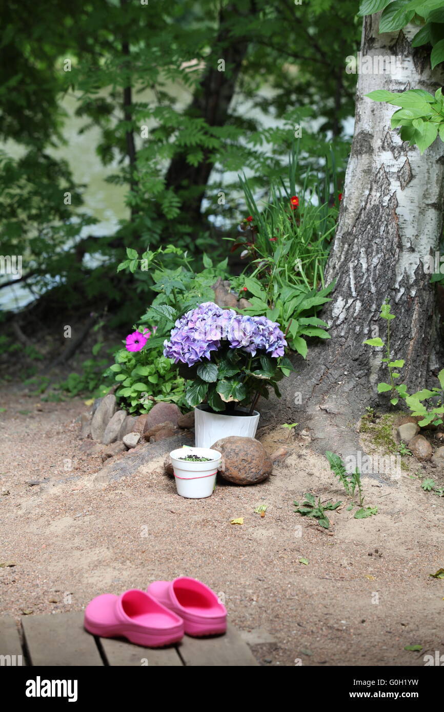 pot with flowers in a garden Stock Photo - Alamy