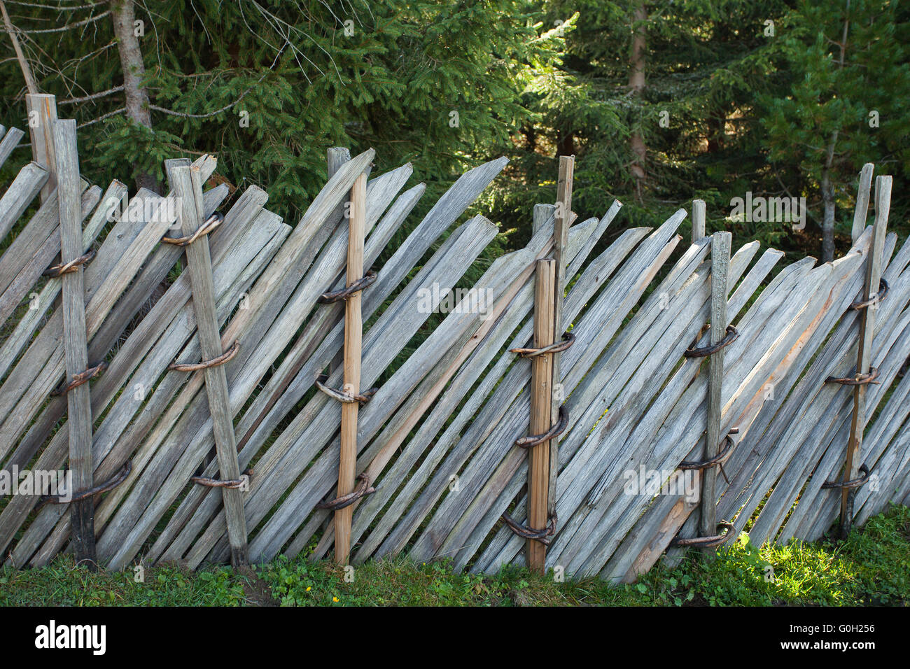 Fence inside a typical forest of the Italian Alps Stock Photo - Alamy