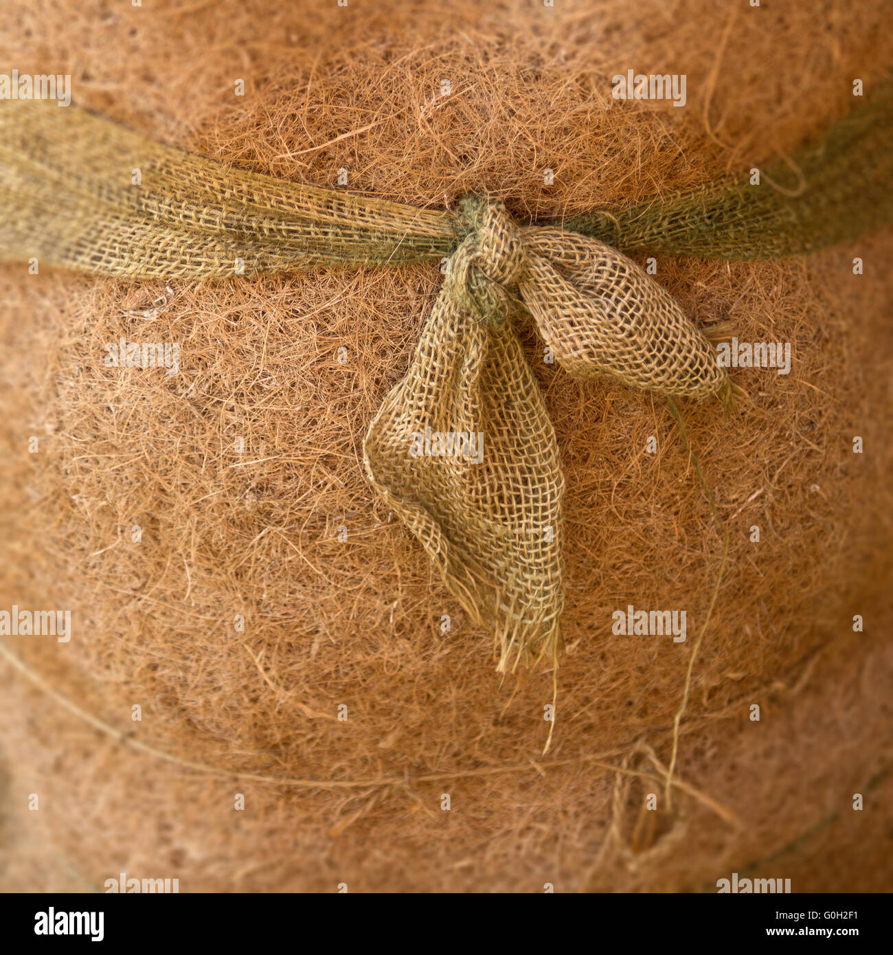 Bow pot hi-res stock photography and images - Alamy
