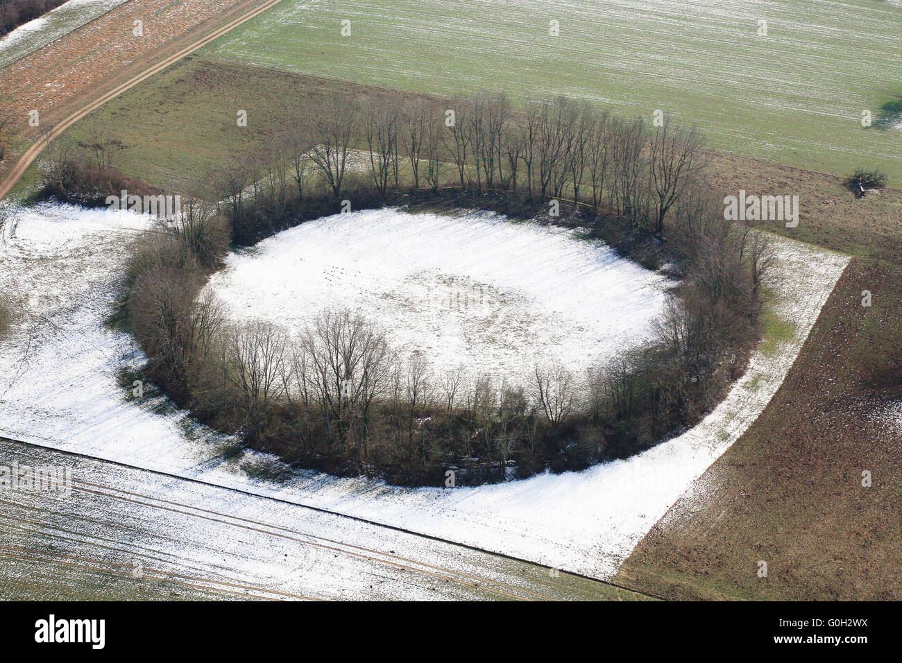 Loop of trees Stock Photo - Alamy