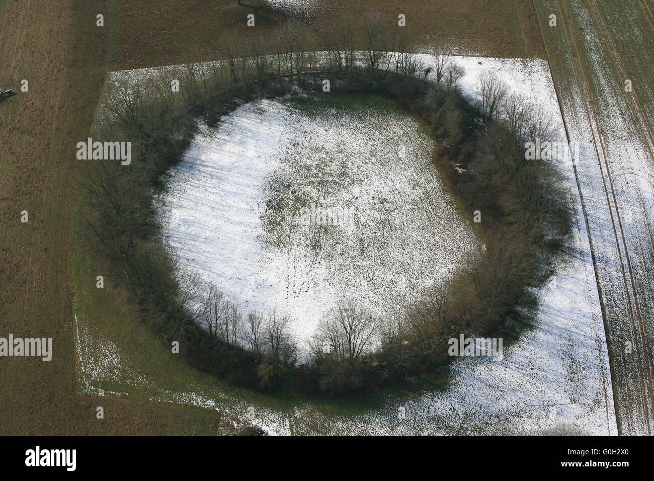 Loop of trees Stock Photo - Alamy