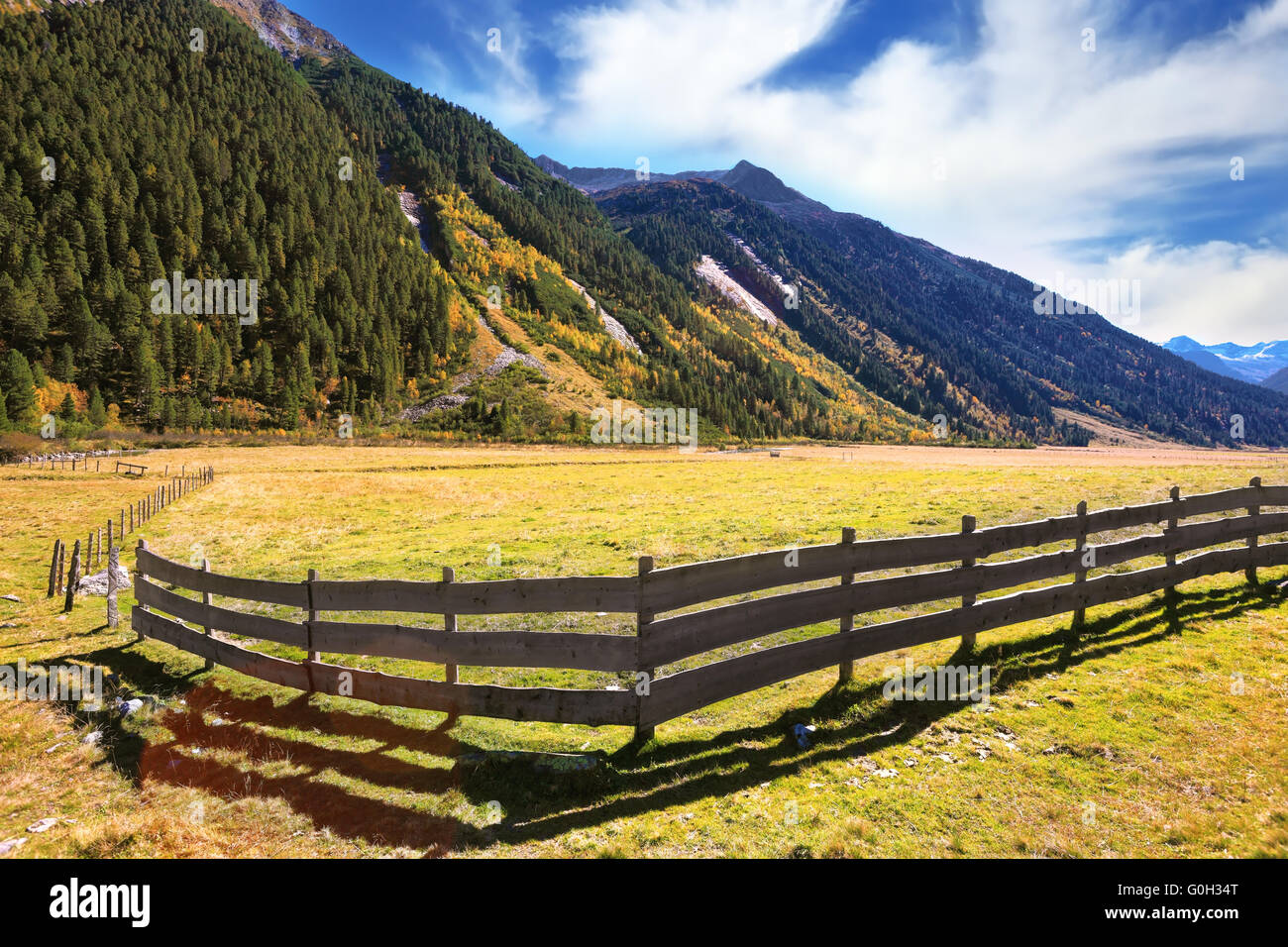 Farmers low wooden fences Stock Photo - Alamy
