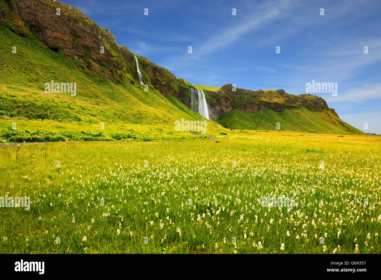 Iceland in summer hi-res stock photography and images - Alamy