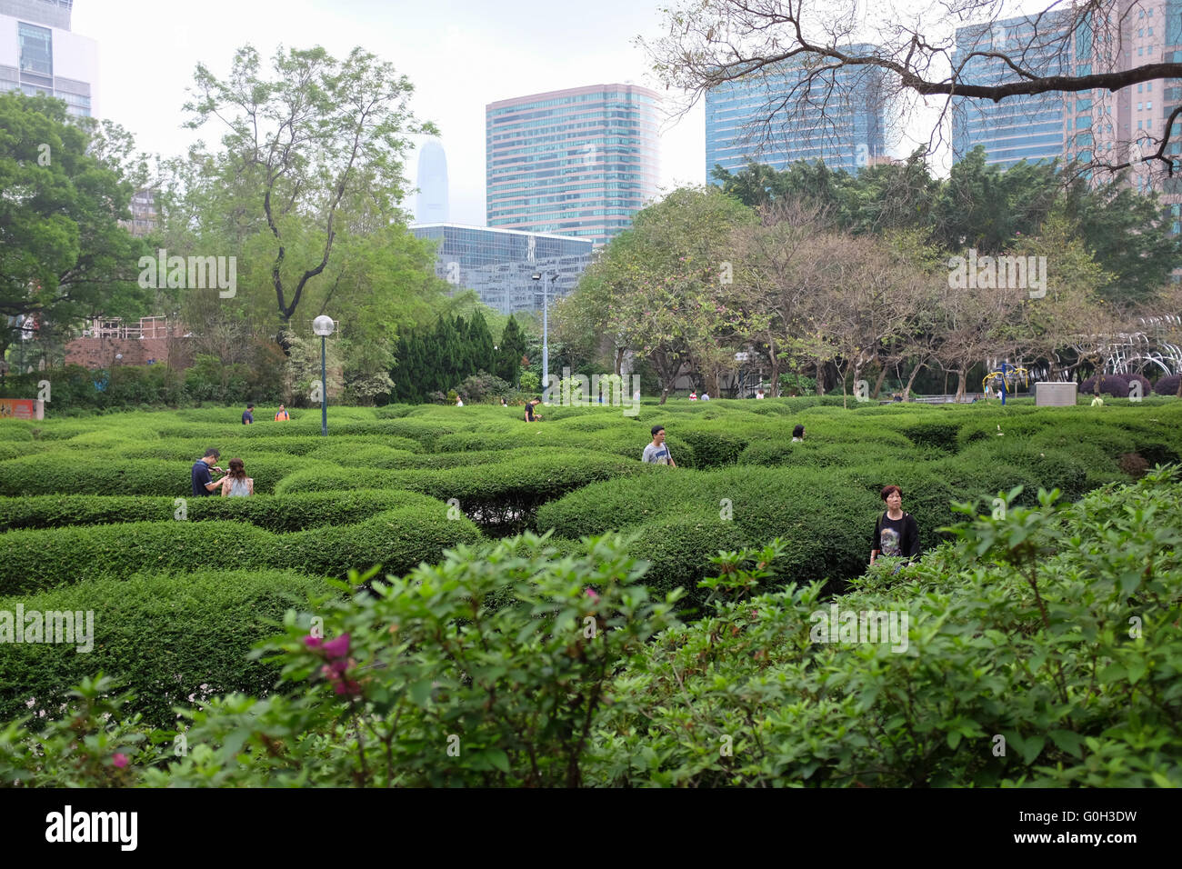 Maze kong hi-res stock photography and images - Alamy