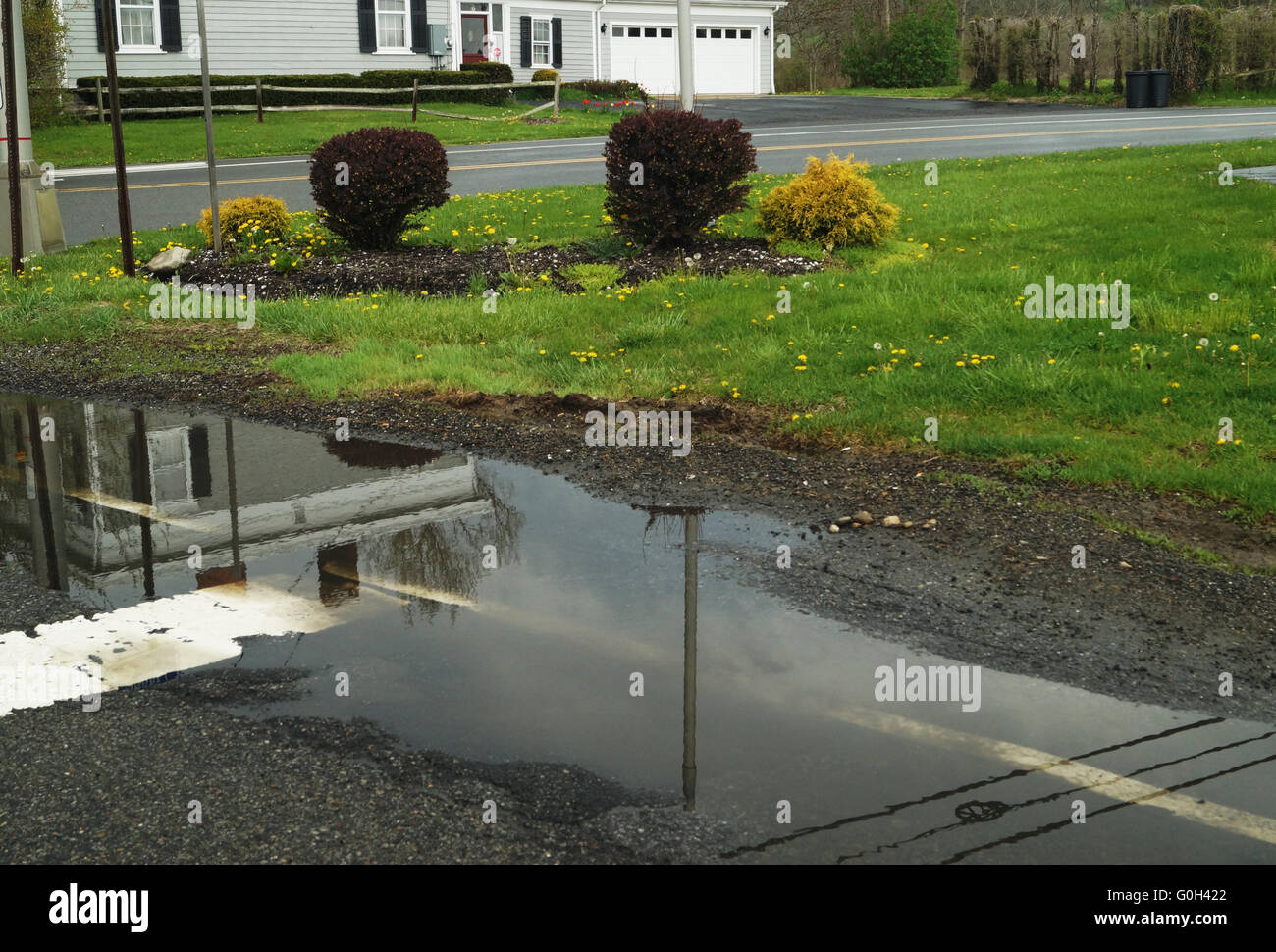Puddle picture hi-res stock photography and images - Alamy