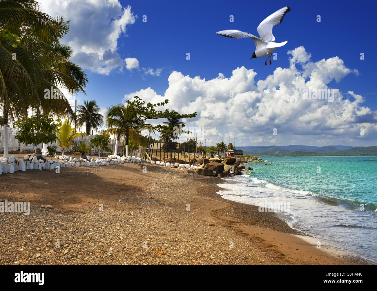 Jamaica marina hi-res stock photography and images - Alamy