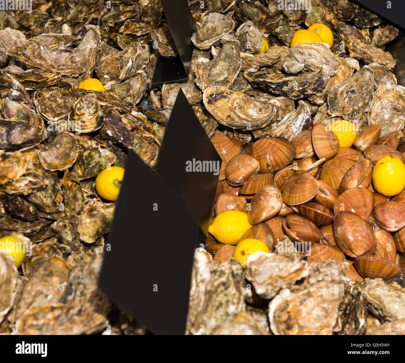 Assorted trays of fresh shellfish for sale at market with whole ...