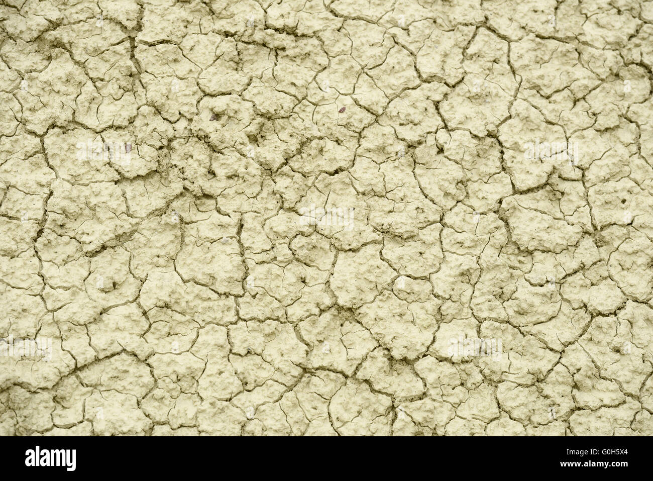 Yellow colored clay in Painted Hills, Oregon Stock Photo - Alamy