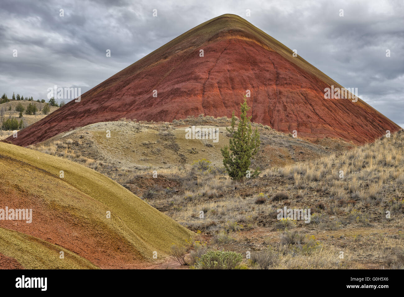 Beautiful red and yellow colored clay mount in the Painted Hills ...