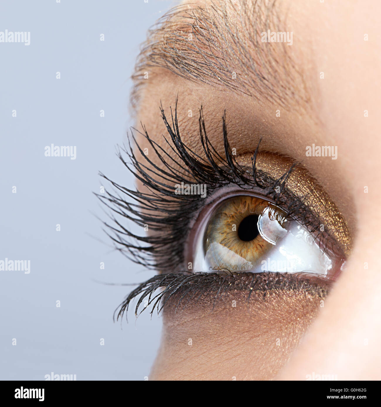 Woman female eye Stock Photo - Alamy
