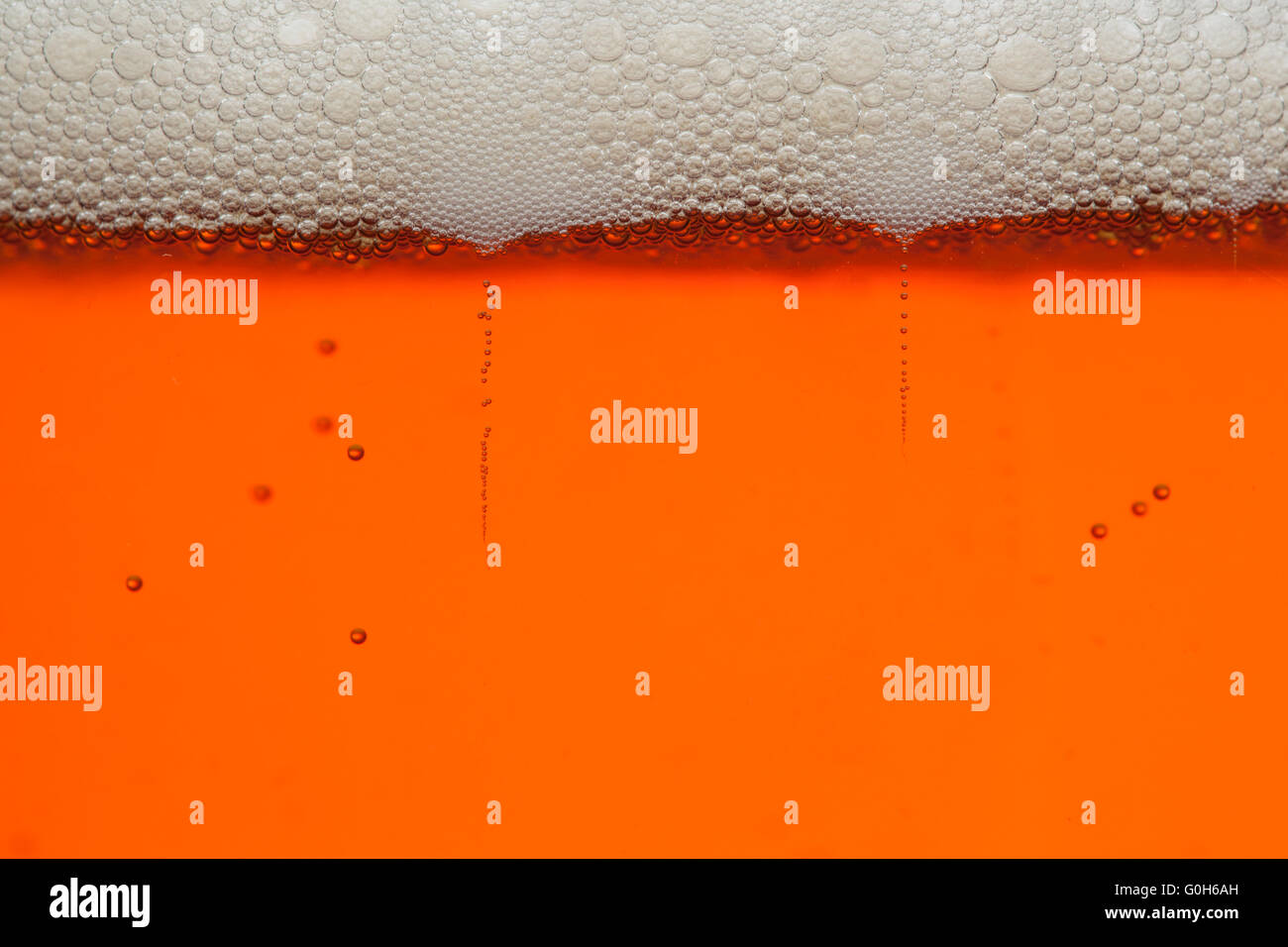 Foam head on beer hi-res stock photography and images - Alamy