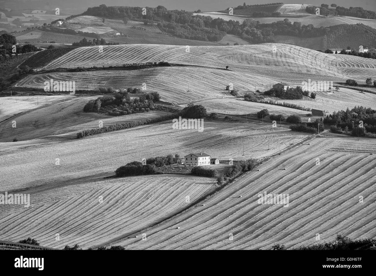 Country landscape in Marches (Italy) at summer. Black and white Stock ...