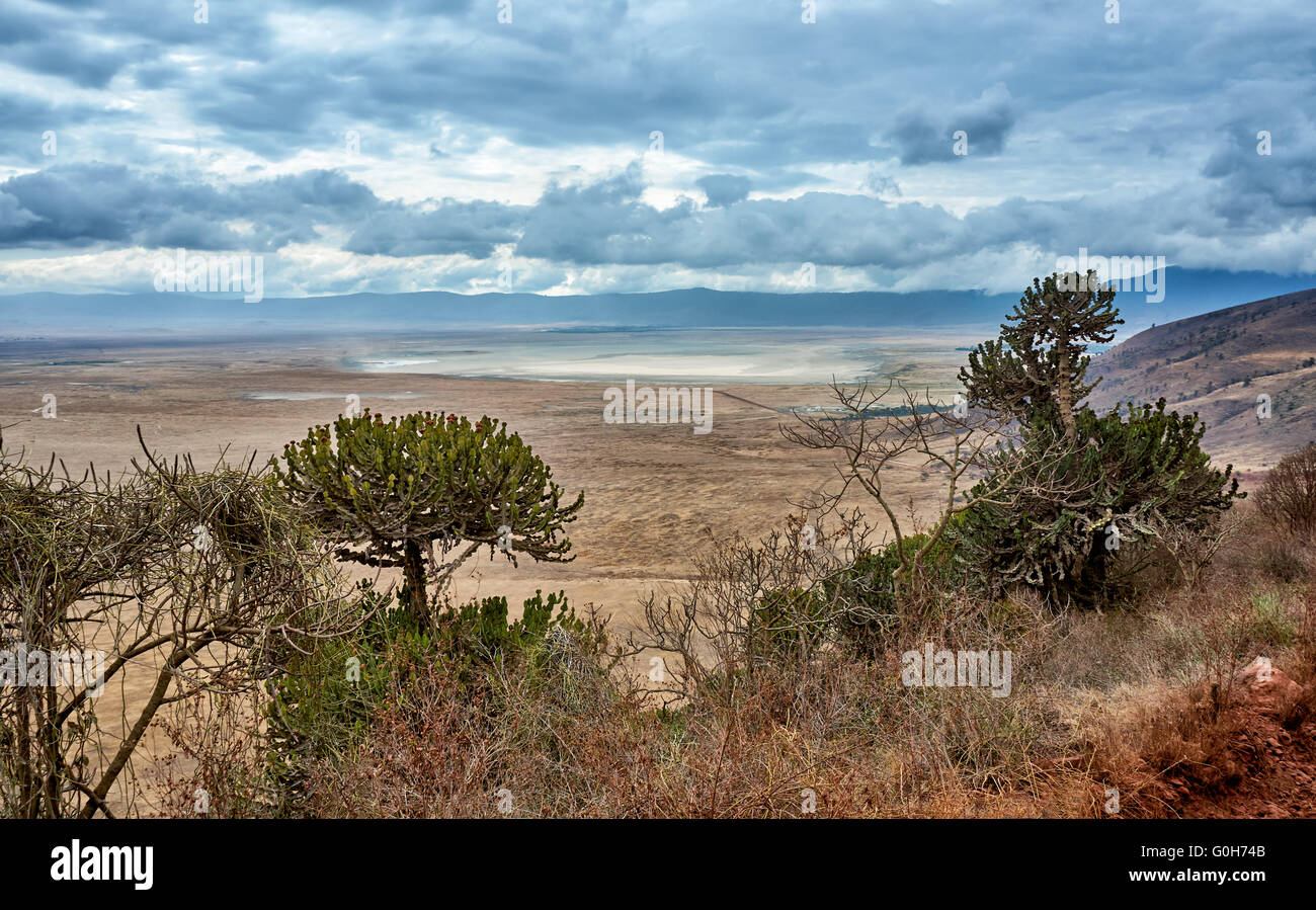 view from the rim into the Ngorongoro crater, Ngorongoro Conservation ...