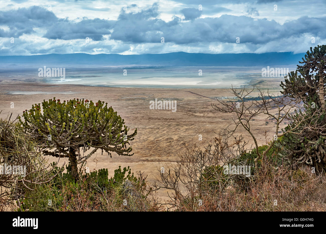 view from the rim into the Ngorongoro crater, Ngorongoro Conservation ...
