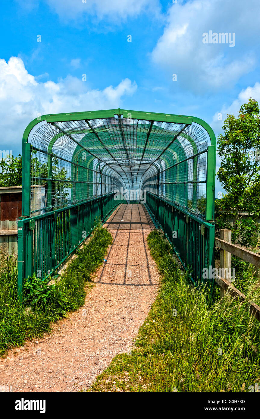 A pink gravel path leads to a footbridge protected by green safety ...