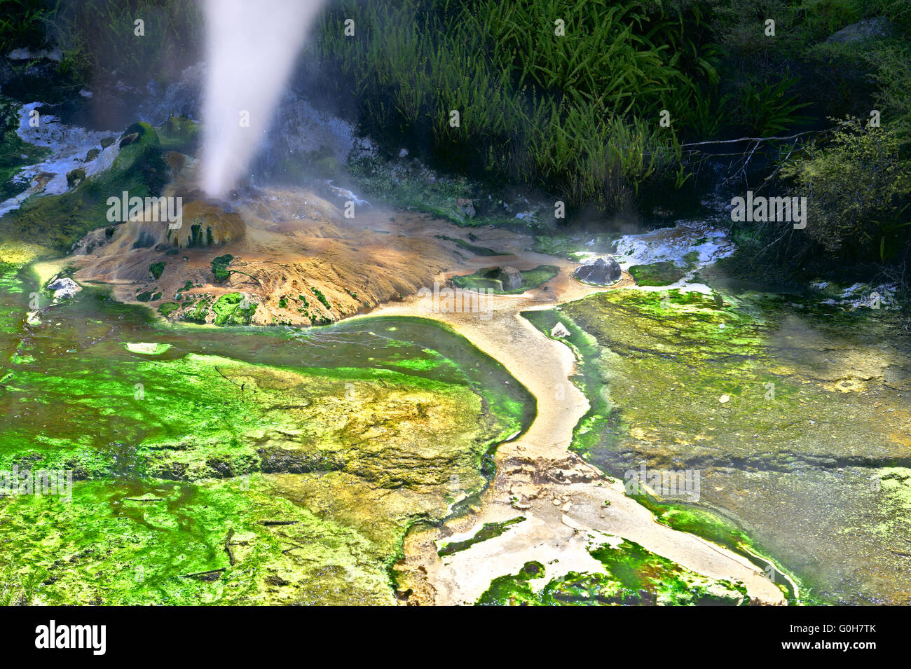 Volcanic steam vent Stock Photo - Alamy