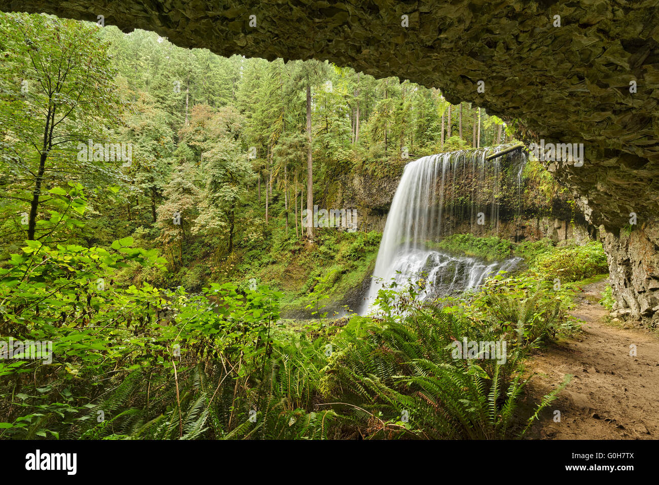 Middle North Falls, Silver Falls State Park Stock Photo - Alamy