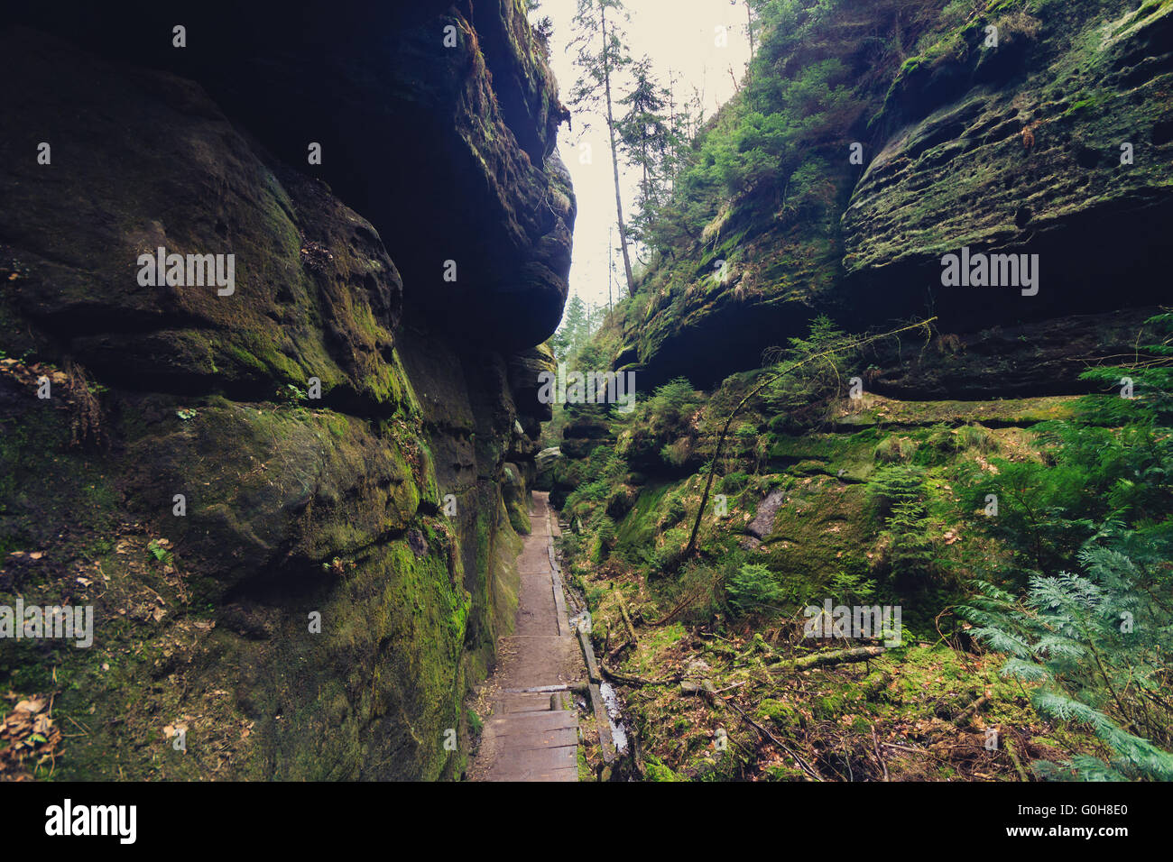 hiking path rocky canyon in forest landscape Stock Photo - Alamy