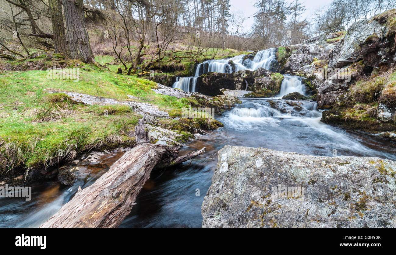 Scenic Waterfall in Forest Stock Photo - Alamy