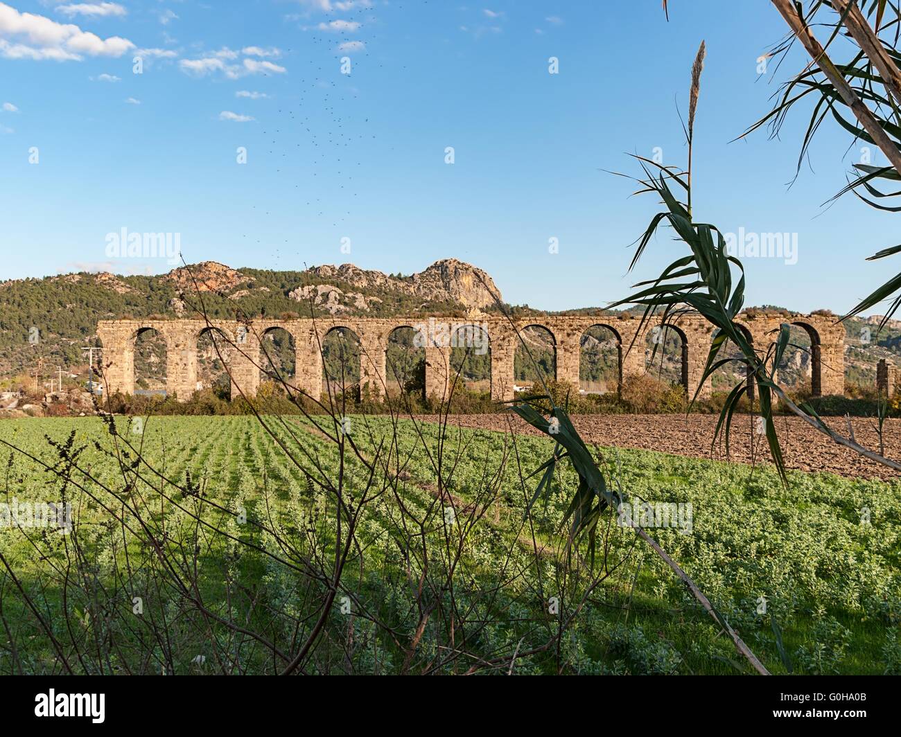 Roman irrigation hi-res stock photography and images - Alamy