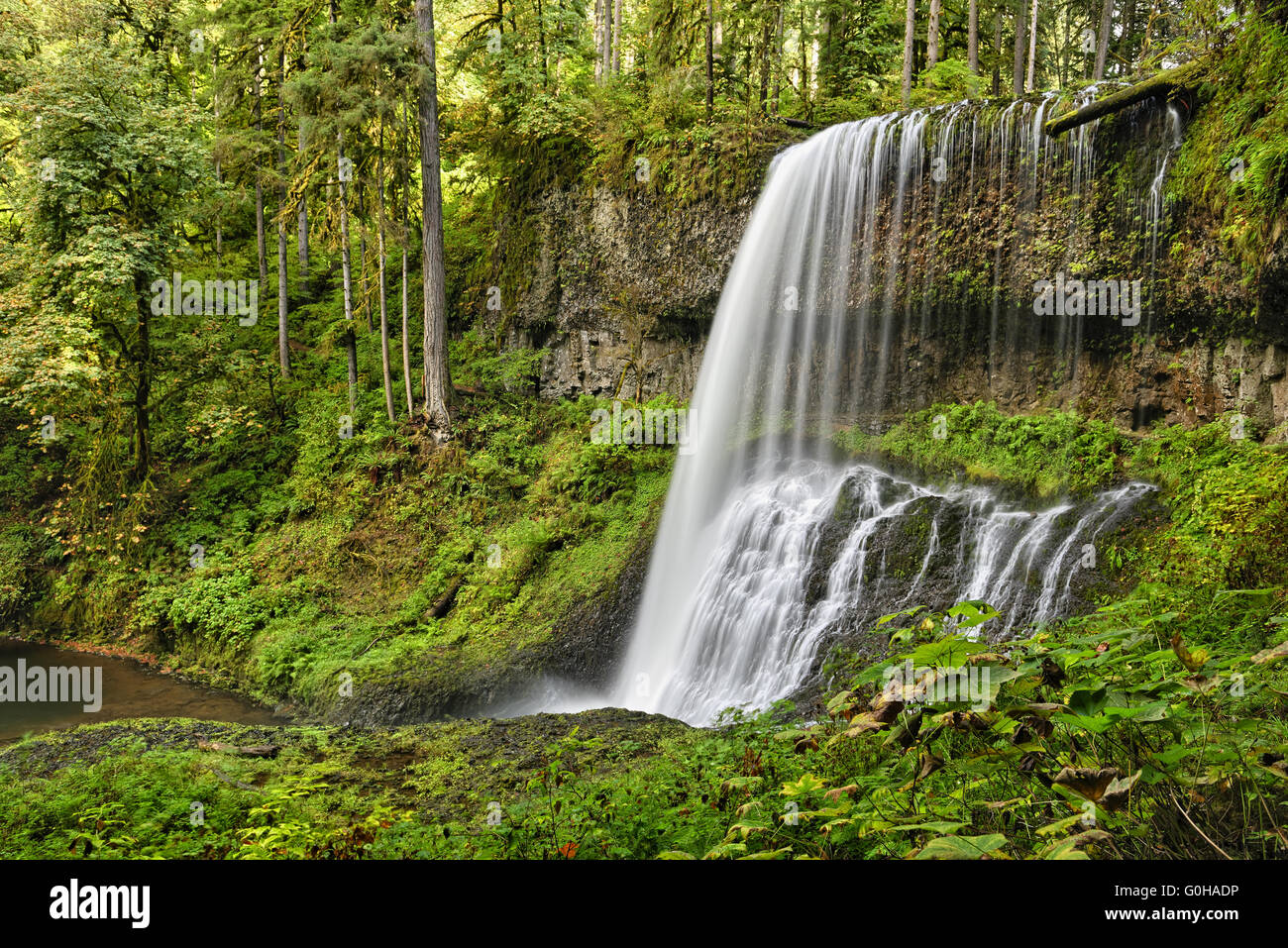 Middle North Falls, Silver Falls State Park Stock Photo - Alamy