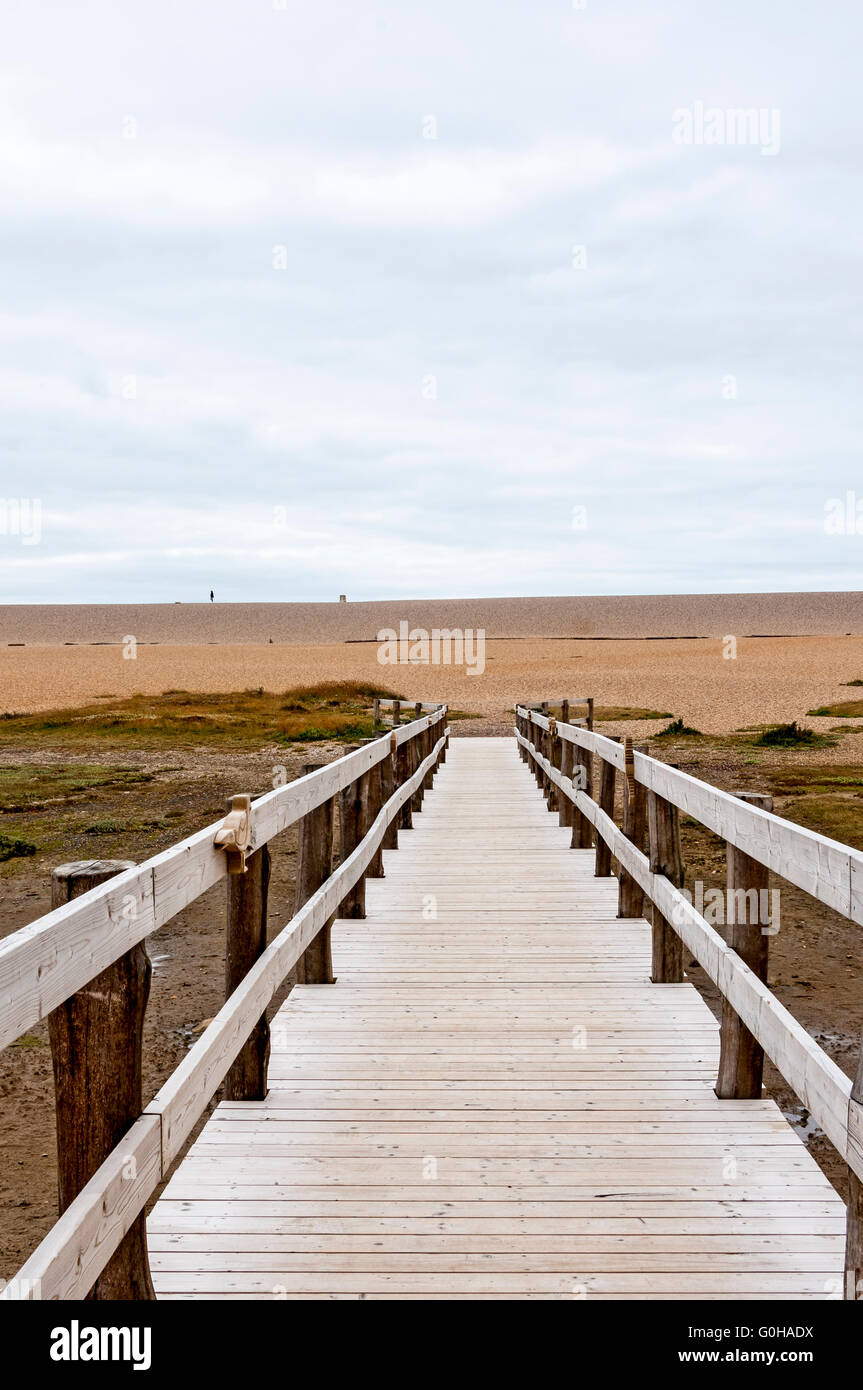 A wooden boardwalk decorated with carvings of local fauna crosses a ...