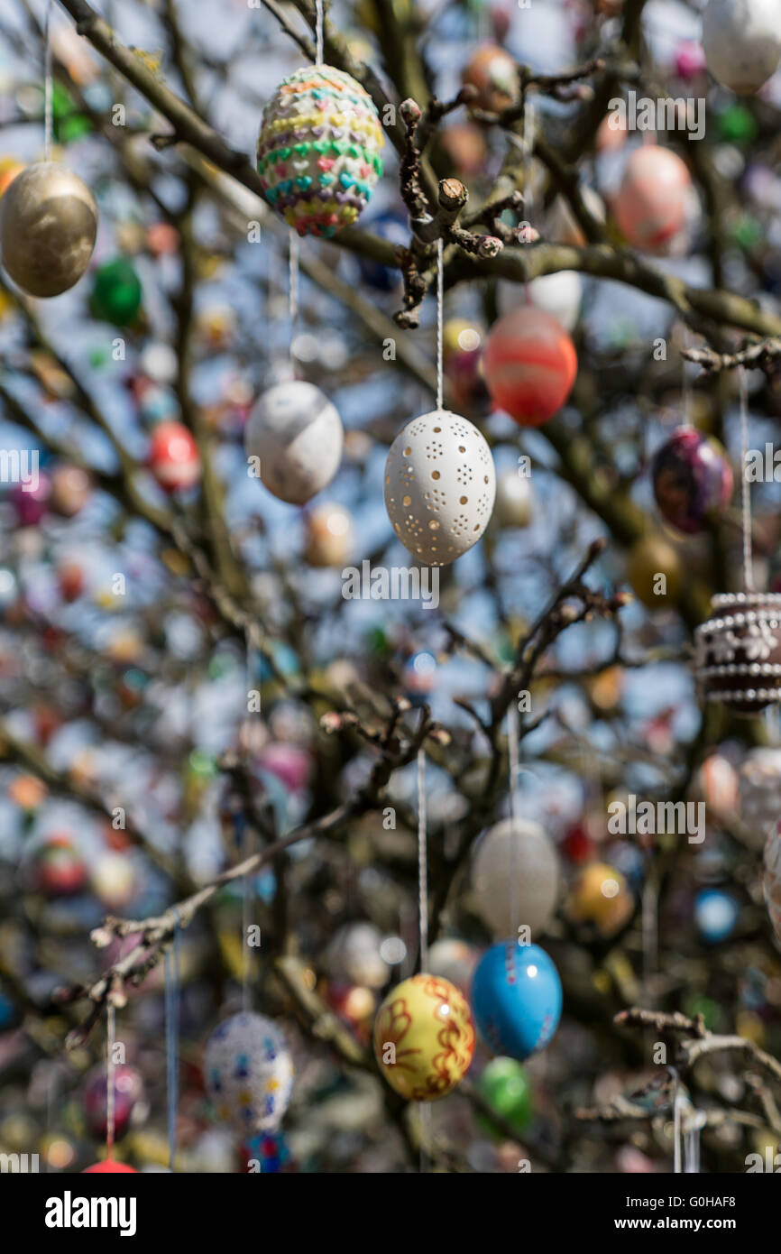 Easter shrub hi-res stock photography and images - Alamy