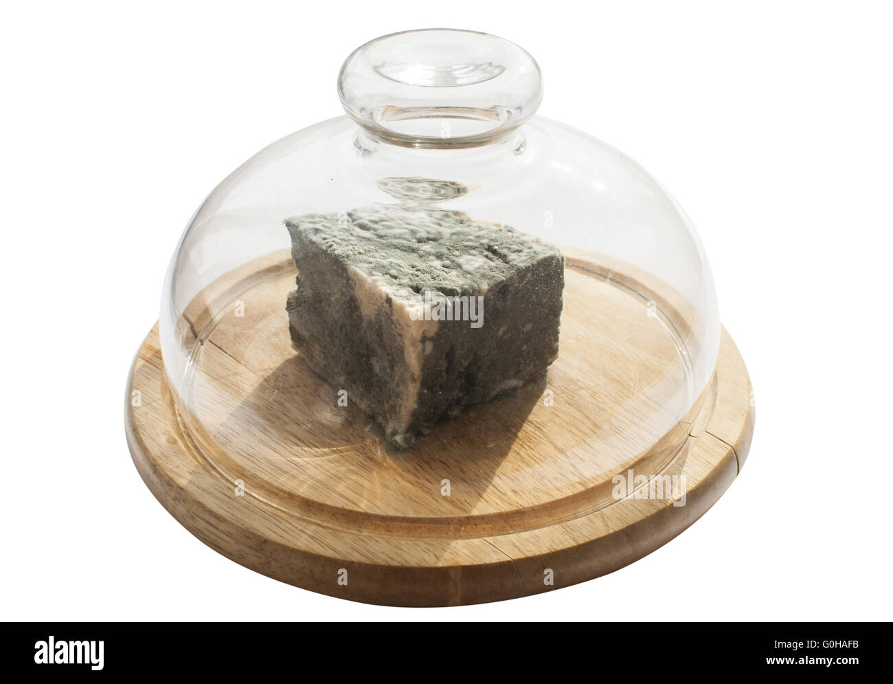 Lump of moldy white cheese under glass lid on wooden tray isolated on ...
