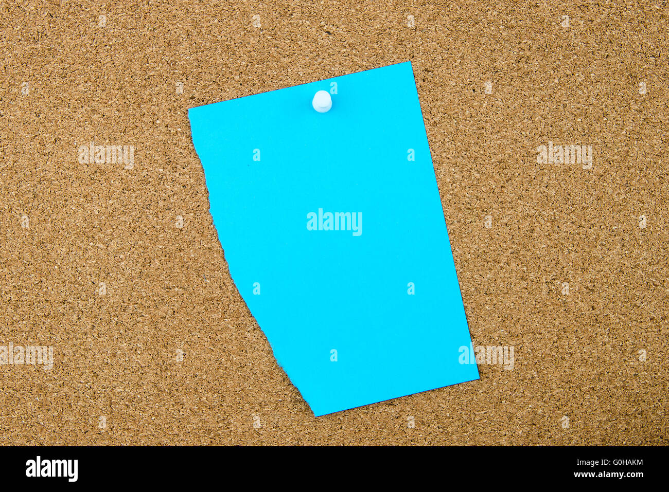 Blank turquoise paper note pinned on cork board with white thumbtack ...
