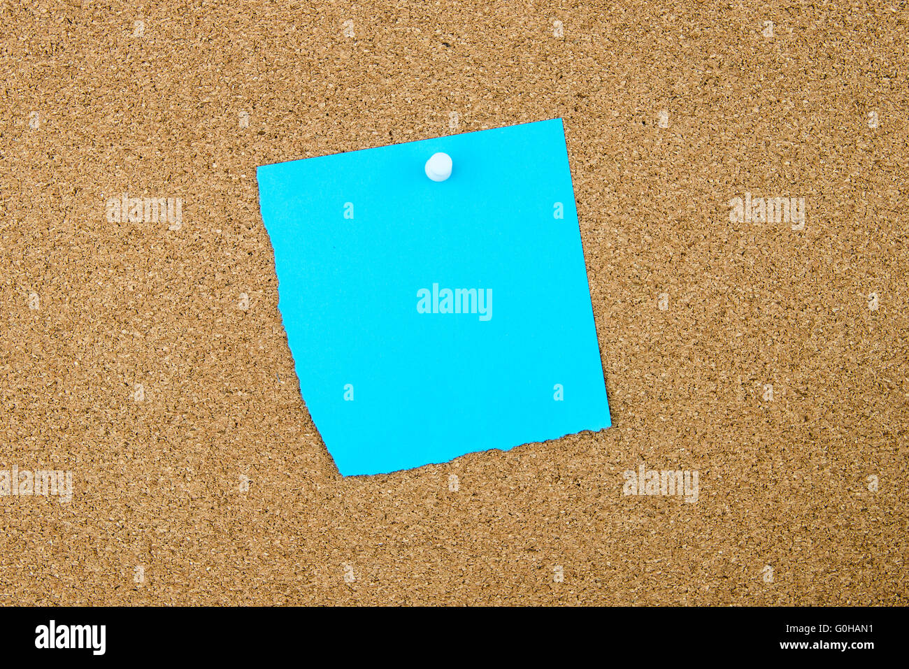 Blank turquoise paper note pinned on cork board with white thumbtack ...
