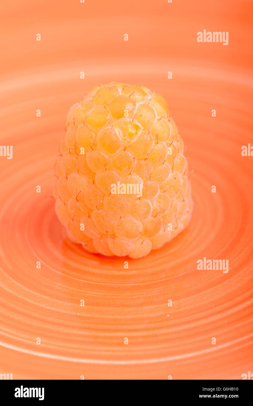 Amazing detail hi-res stock photography and images - Alamy