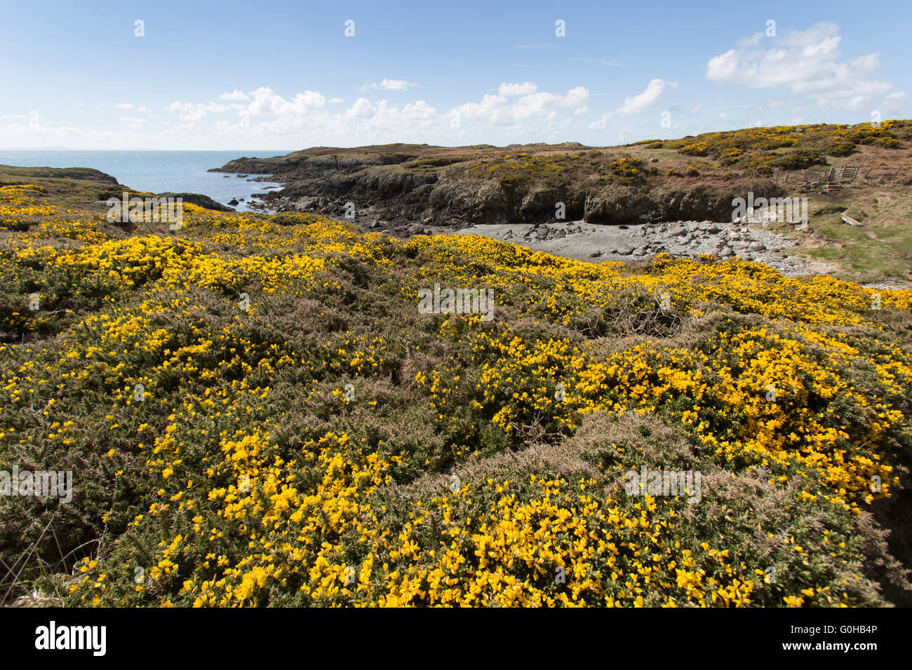 The Wales and Anglesey Coastal Path in North Wales. Picturesque view of ...