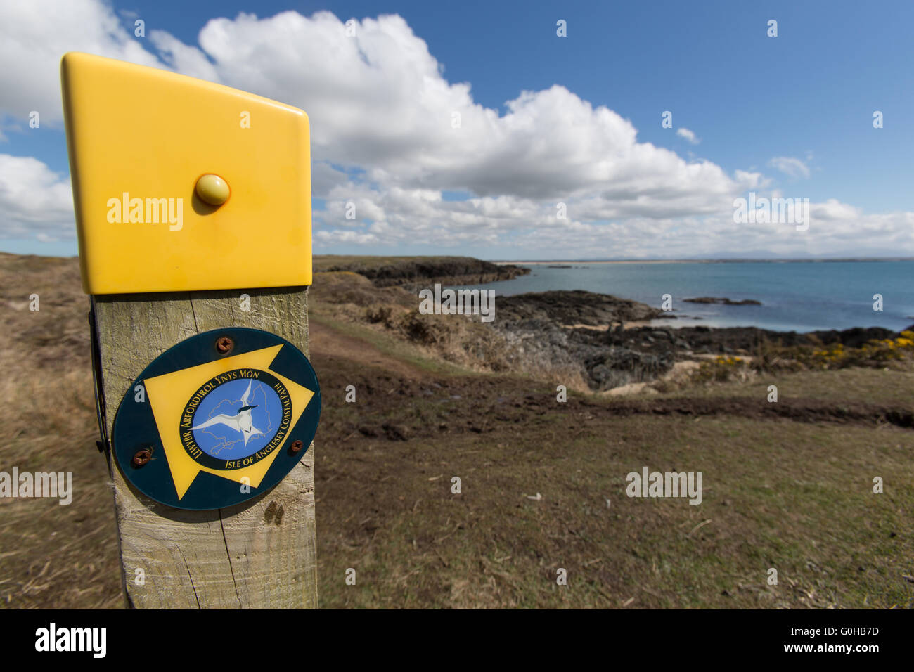 Welsh coastal path sign hi-res stock photography and images - Alamy