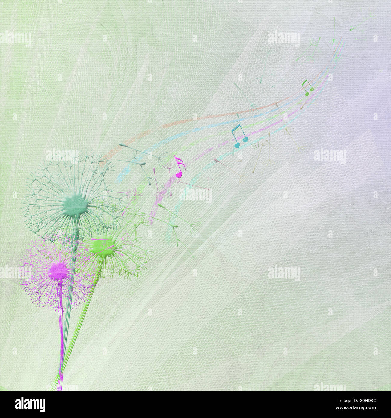 Colorful dandelion bouquet with seedlings and musical notes on tulle ...