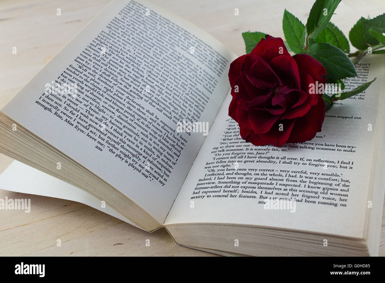 A red rose on the left side of an open English book, as moment of ...