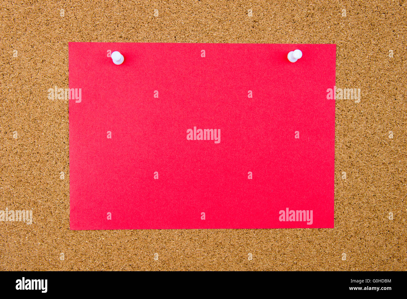 Blank orange paper note pinned on cork board with white thumbtacks ...