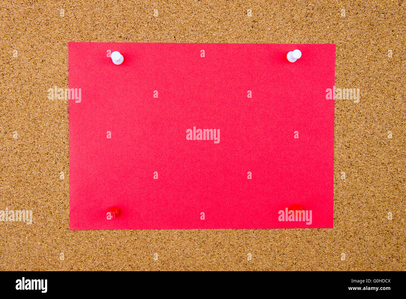 Blank red paper note pinned on cork board with white thumbtacks, copy ...