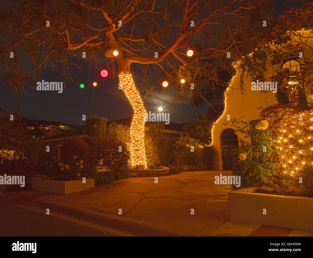 Full moon peaks through a tree with Christmas lights Stock Photo - Alamy