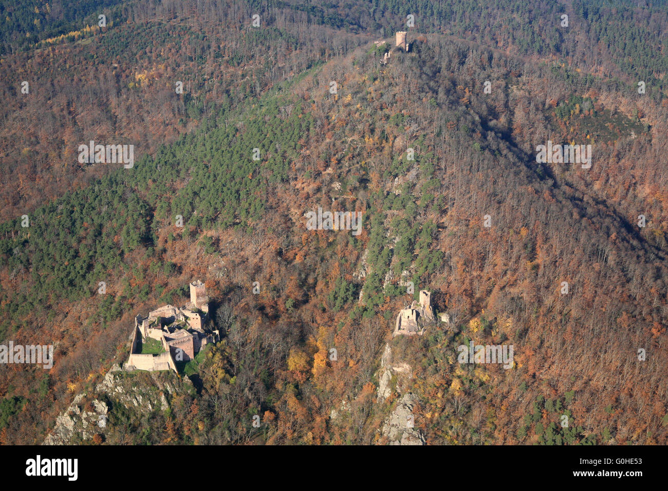 Tree castles the Vosges in France Stock Photo - Alamy