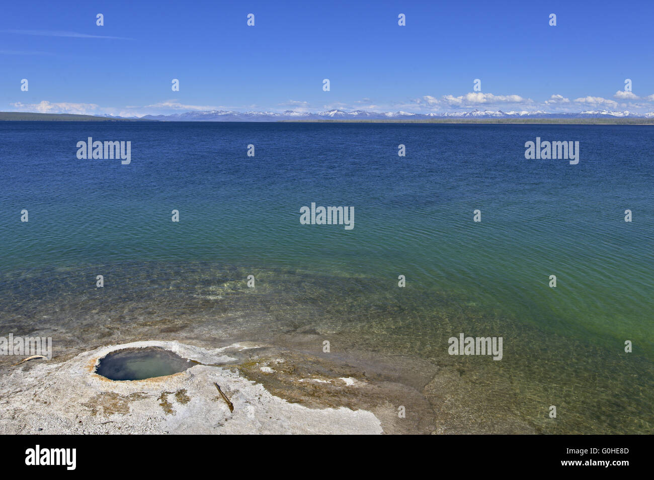 Giant cone hi-res stock photography and images - Alamy