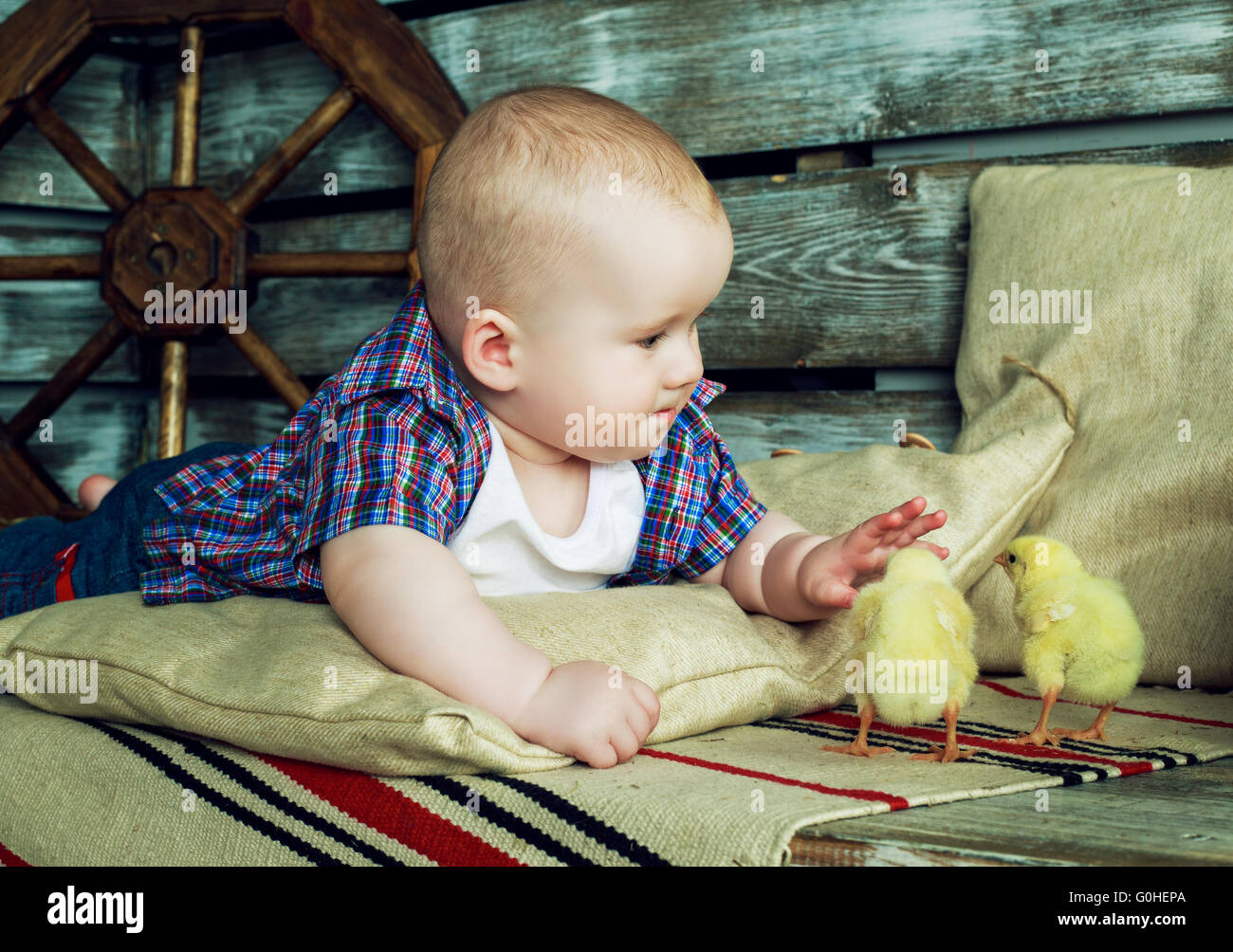 Chicken play hi-res stock photography and images - Alamy