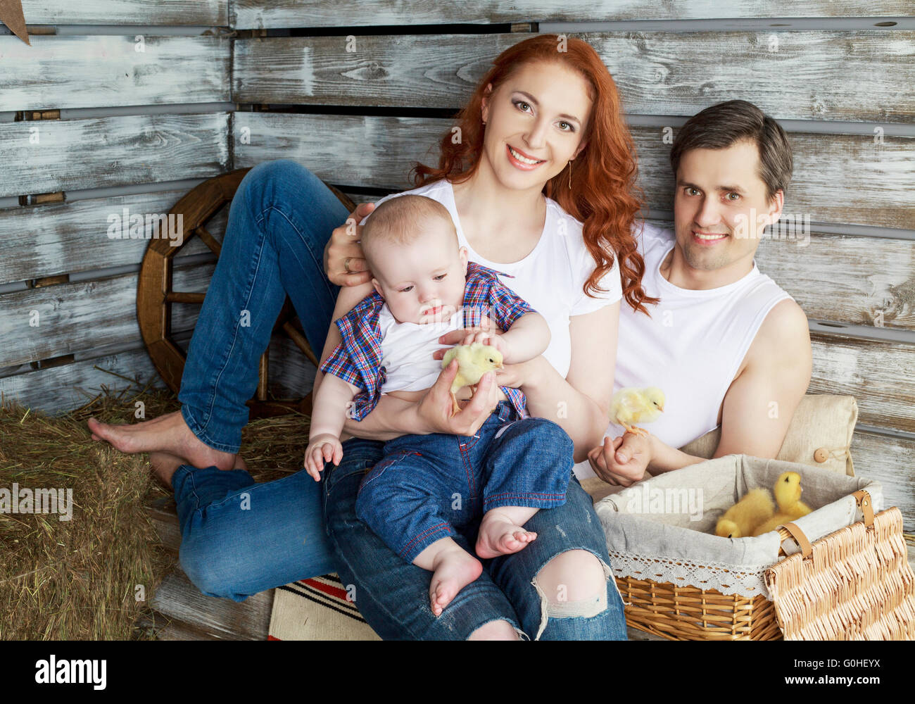 Father chicken hi-res stock photography and images - Alamy