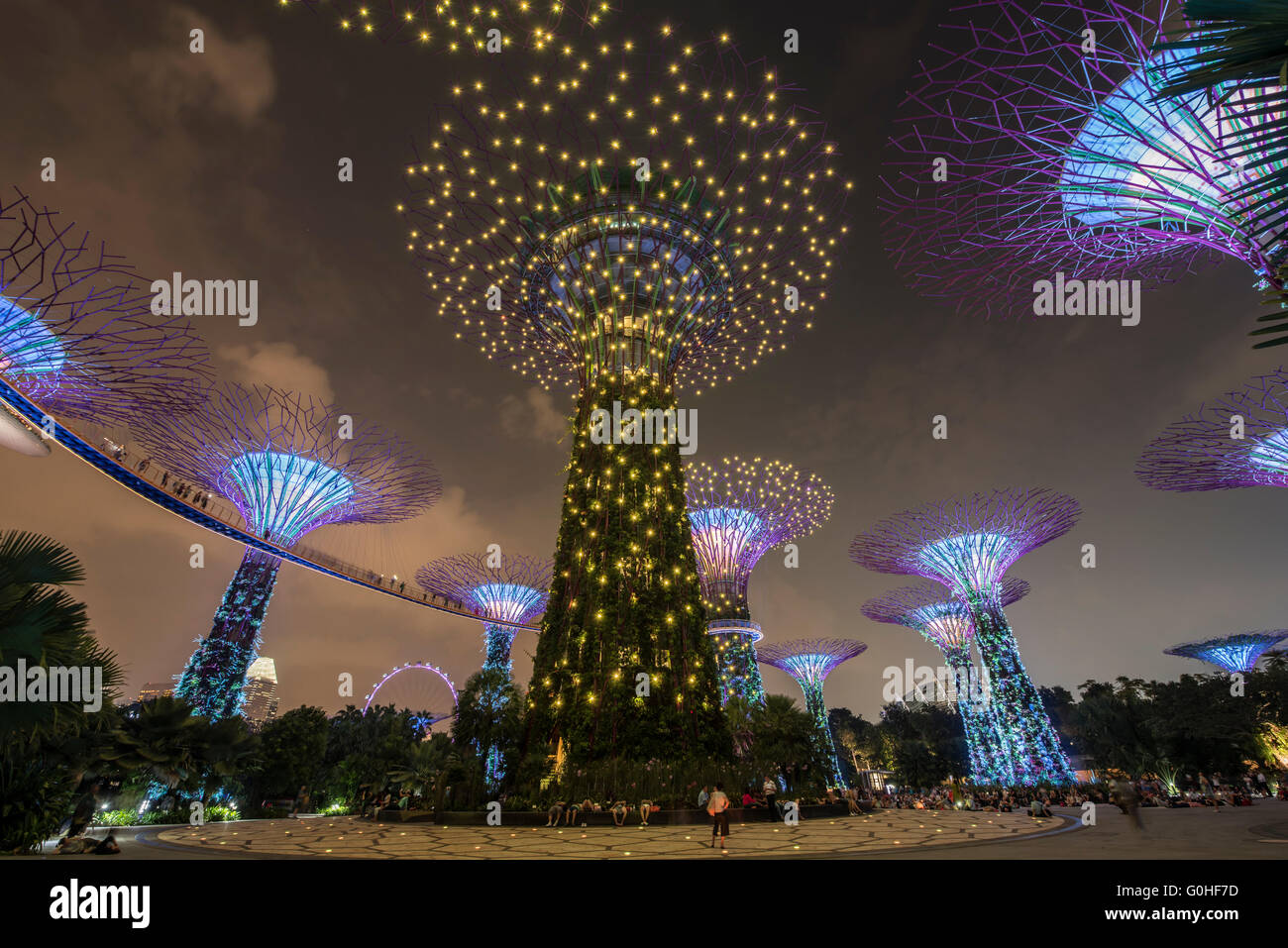 The Supertree Grove during the Evening Garden Rhapsody Sound and Light ...
