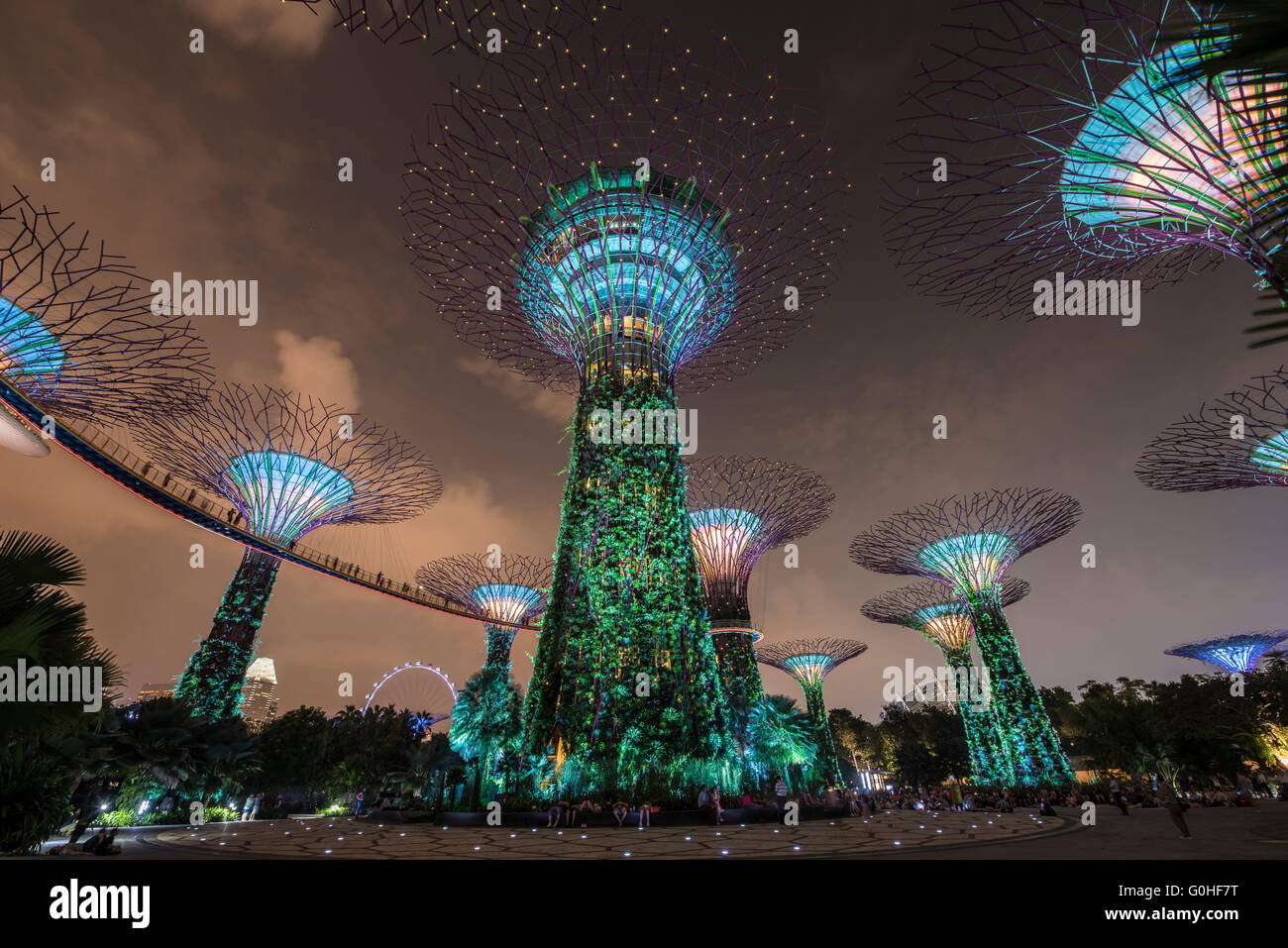 The Supertree Grove during the Evening Garden Rhapsody Sound and Light ...
