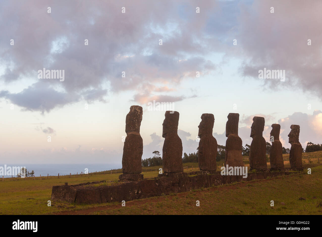 Rapa Stock Photos & Rapa Stock Images - Alamy