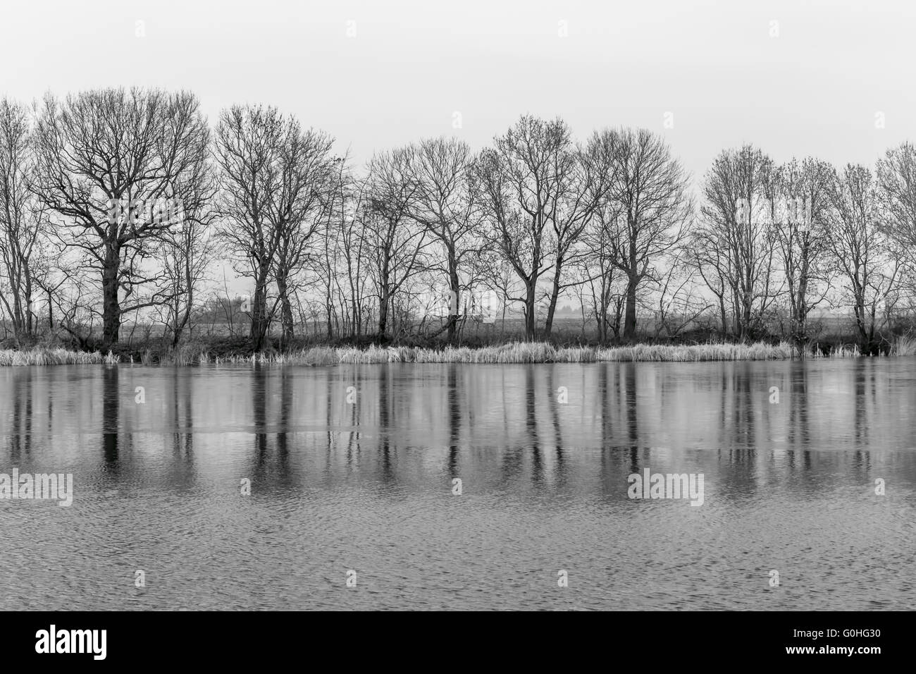 Landscape view trees reflected Black and White Stock Photos & Images ...
