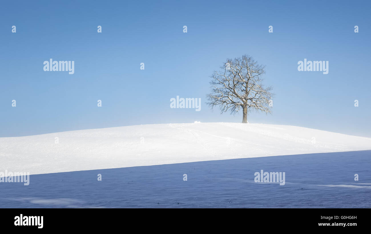 Lone tree snowy hills hi-res stock photography and images - Alamy