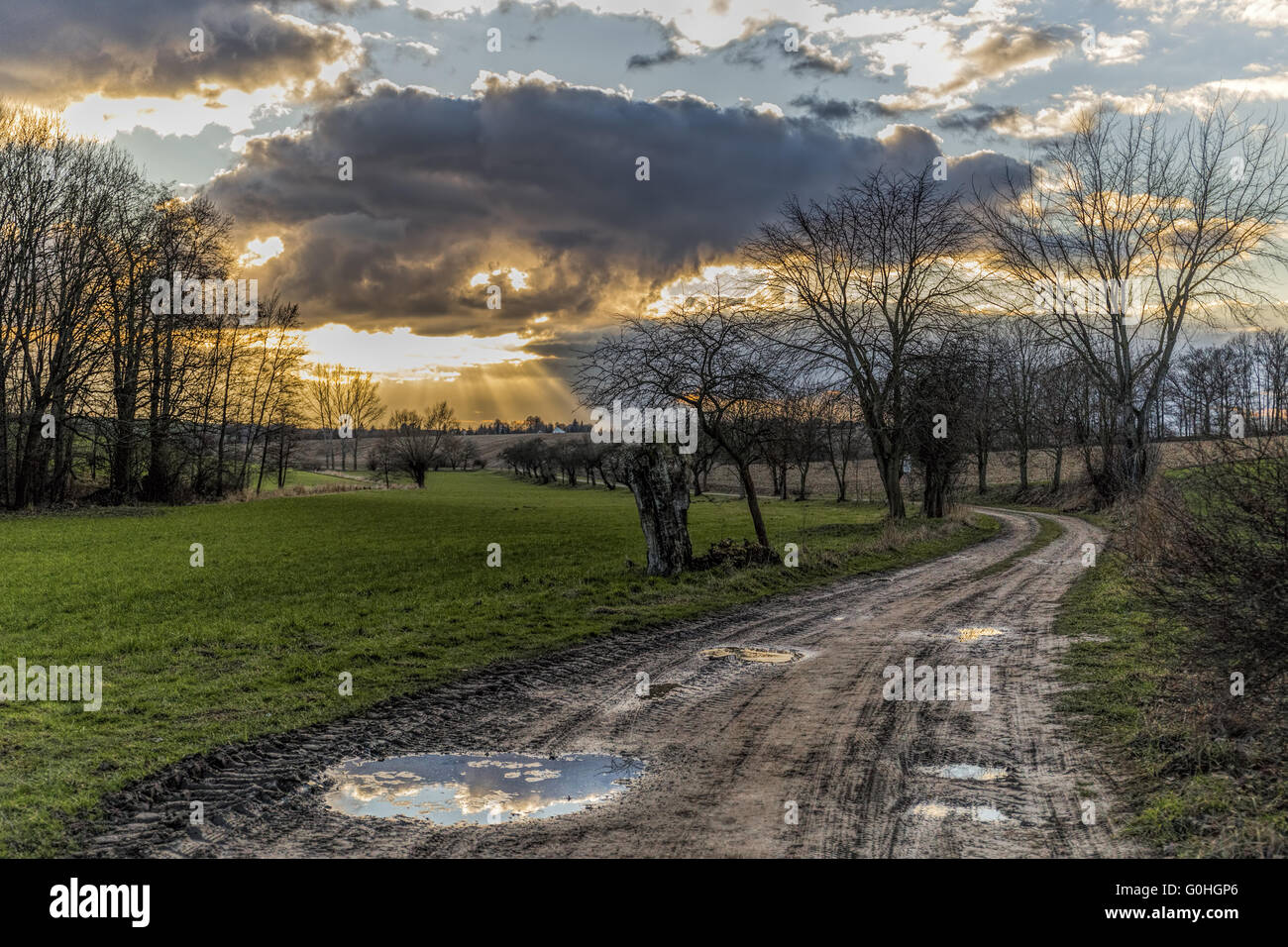 a muddy road in the sunset Stock Photo - Alamy