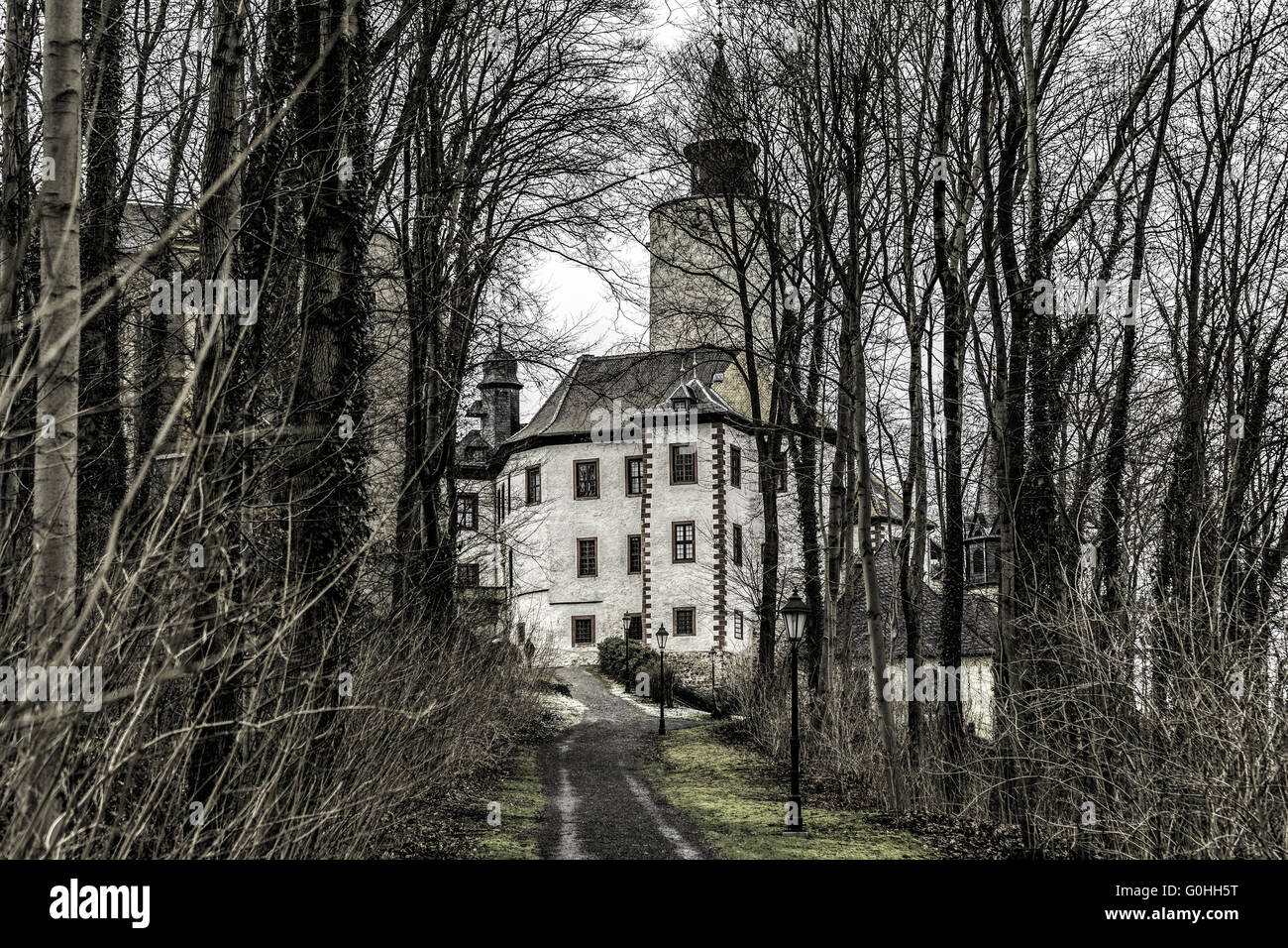 the castle in the forest Stock Photo - Alamy